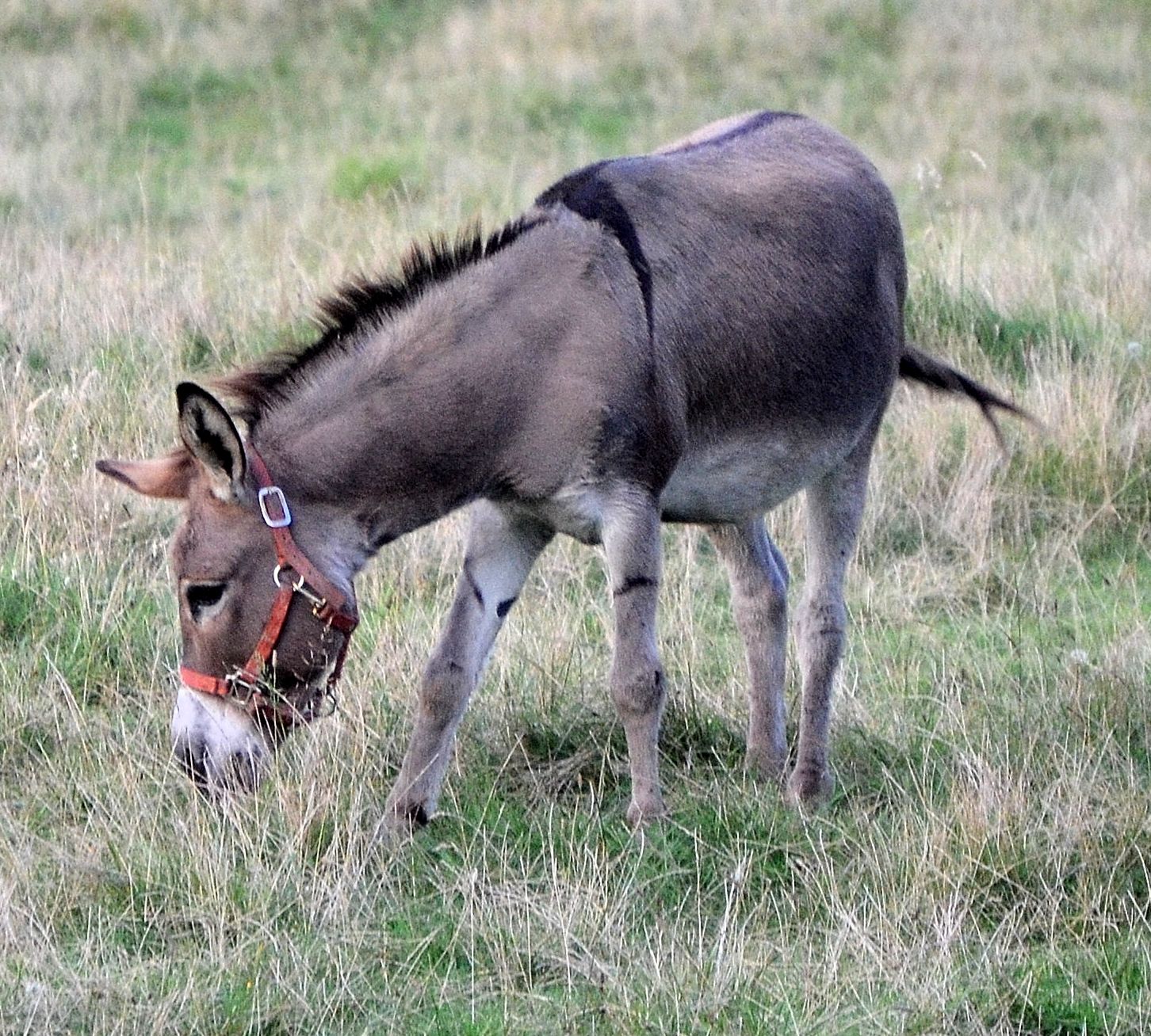 Status Iatrogenicus: August 2013