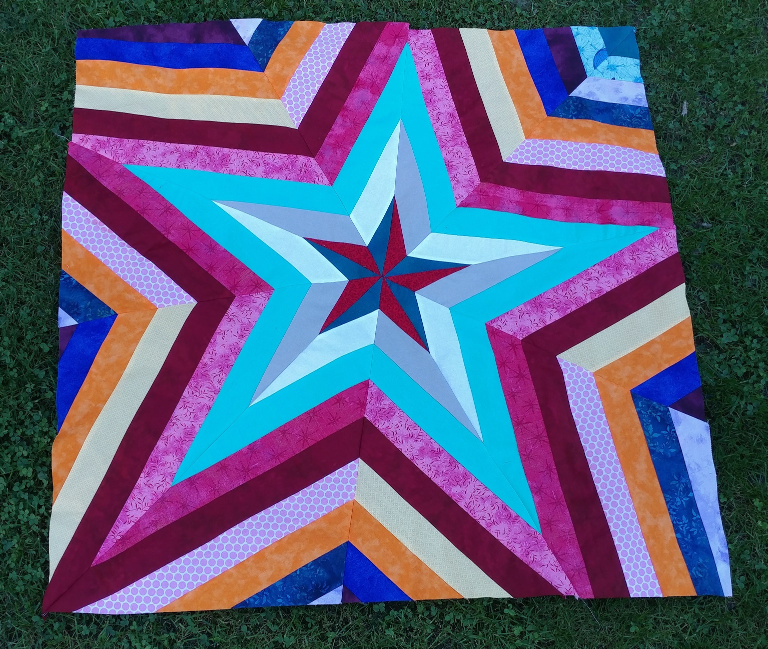 The Life of Riley: Mini Star Storm Workshop with Victoria Findlay Wolfe