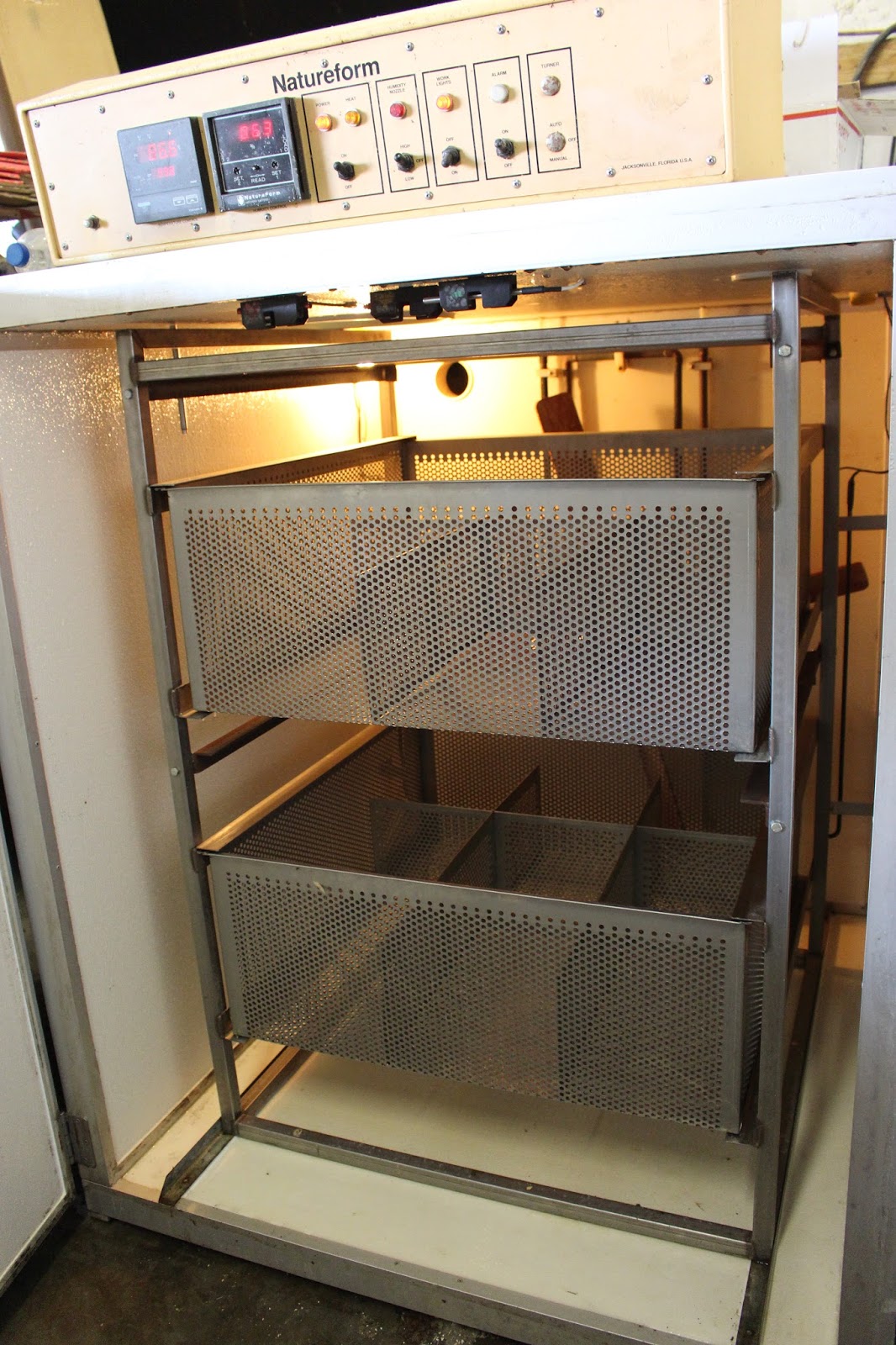 Chicken Scratch Poultry: Getting Ready For Chick Season / Chicks For Sale