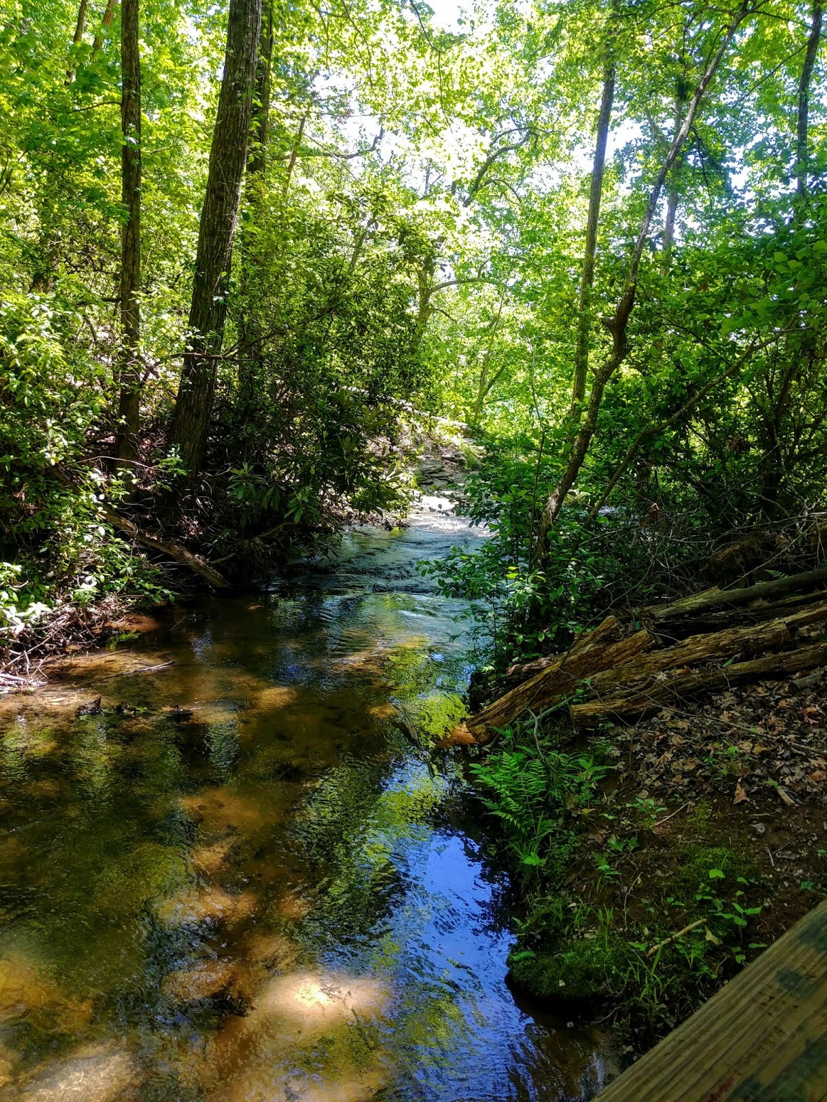 Another Mile Another Destination Blog: Issaqueena Falls, Walhalla ...