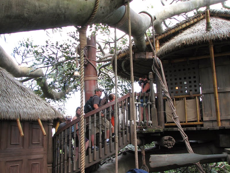 Bonao Internacional: EL SUEÑO DORADO DE TARZAN Y JANE : UNA CASA , EN ...