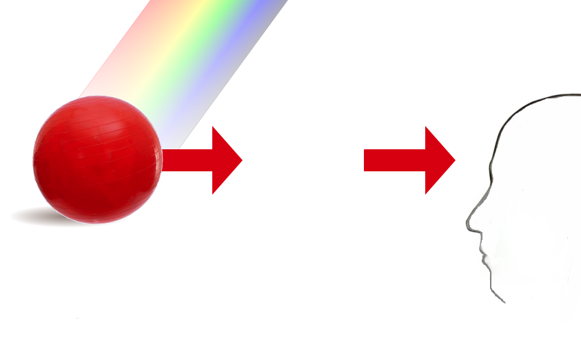 EL COLOR: LA PERCEPCIÓ DELS COLORS