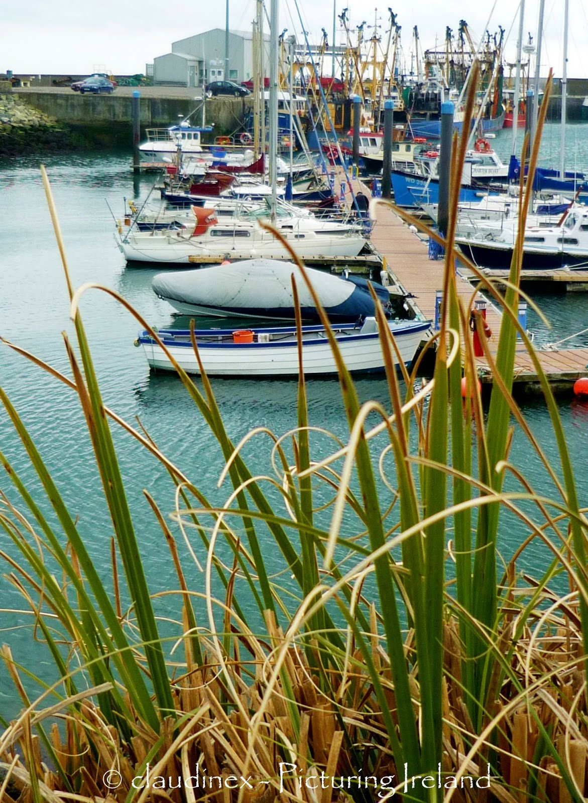 Picturing Ireland : A stroll through Kilmore Quay, Co. Wexford