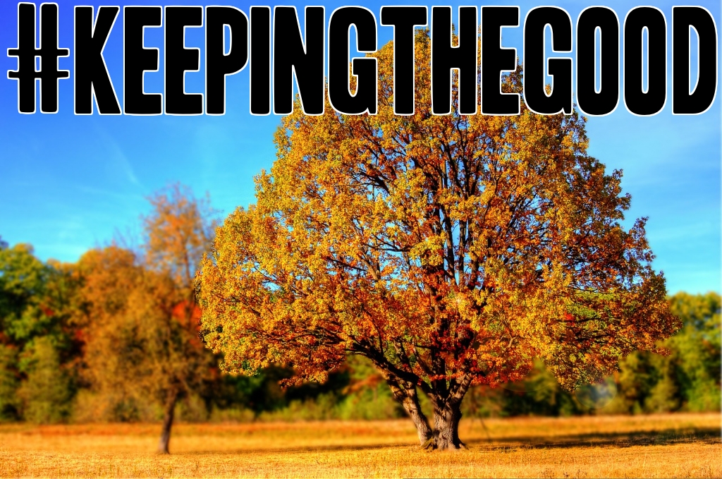 Keeping The Good - The Berger Bungalow