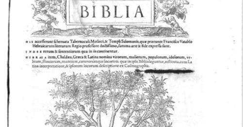 Robert Stephanus Biblia Sacra Vulgata.