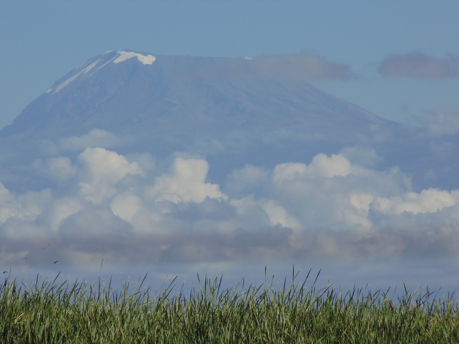 Safari ya Baringo: Kenya's side of Lake Jipe: A pose with the elephants