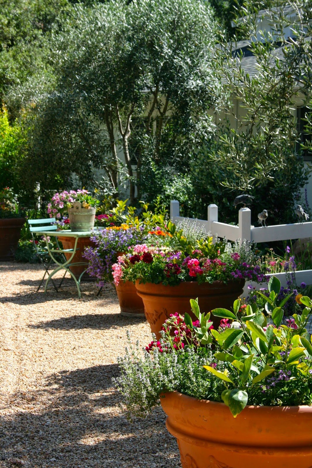 The Polished Pebble: Pots in the Garden