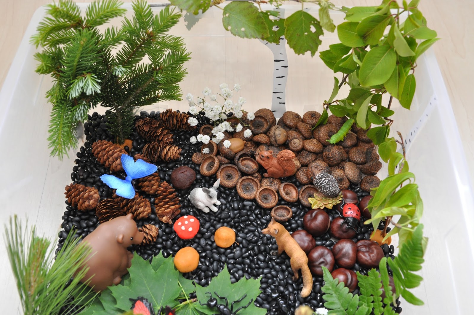 Creative Projects for Kids: Forest Sensory Bin