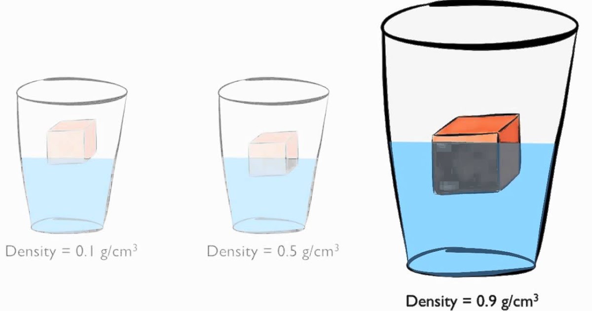 The Lab: Why some objects float and others sink?