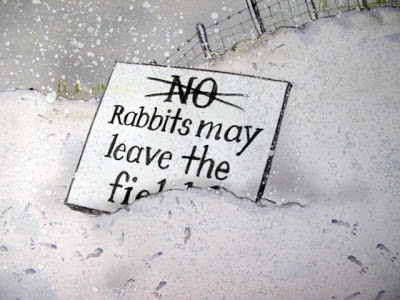 Ilma's illustrations: The Rabbit Problem by Emily Gravett
