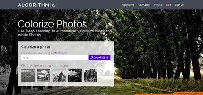 Best Tools to Colorize Black and White and old Photos