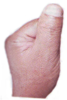 LEARN INDIAN PALMISTRY ONLINE FREE ~ INDIAN PALMISTRY | PALM READING ...