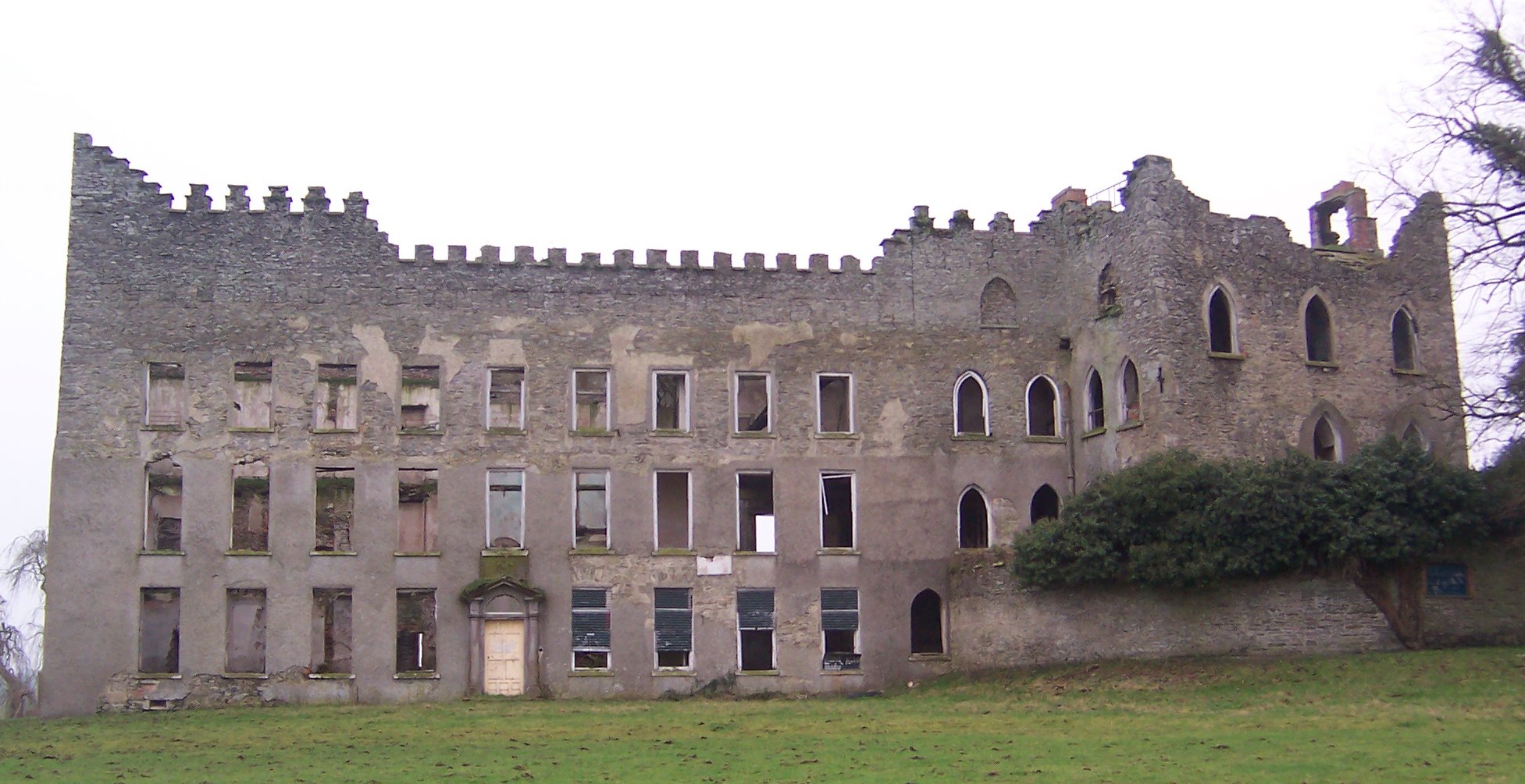Irish Heraldry: Where in the County (11) Castles