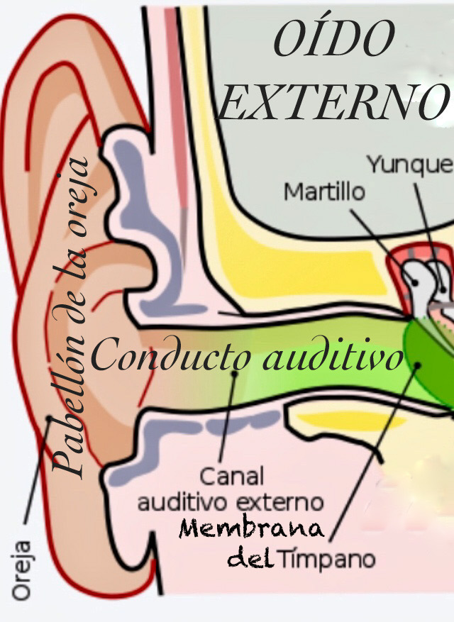 El Inquieto Jubilado Cristóbal: EL SONIDO; SUS CUALIDADES. PERCEPCIÓN ...