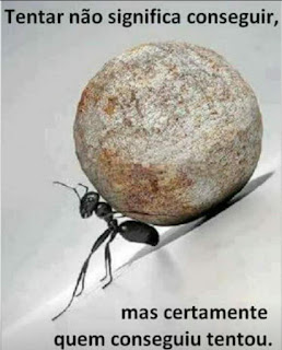 Íris Cor de Mel: Uma formiguinha...