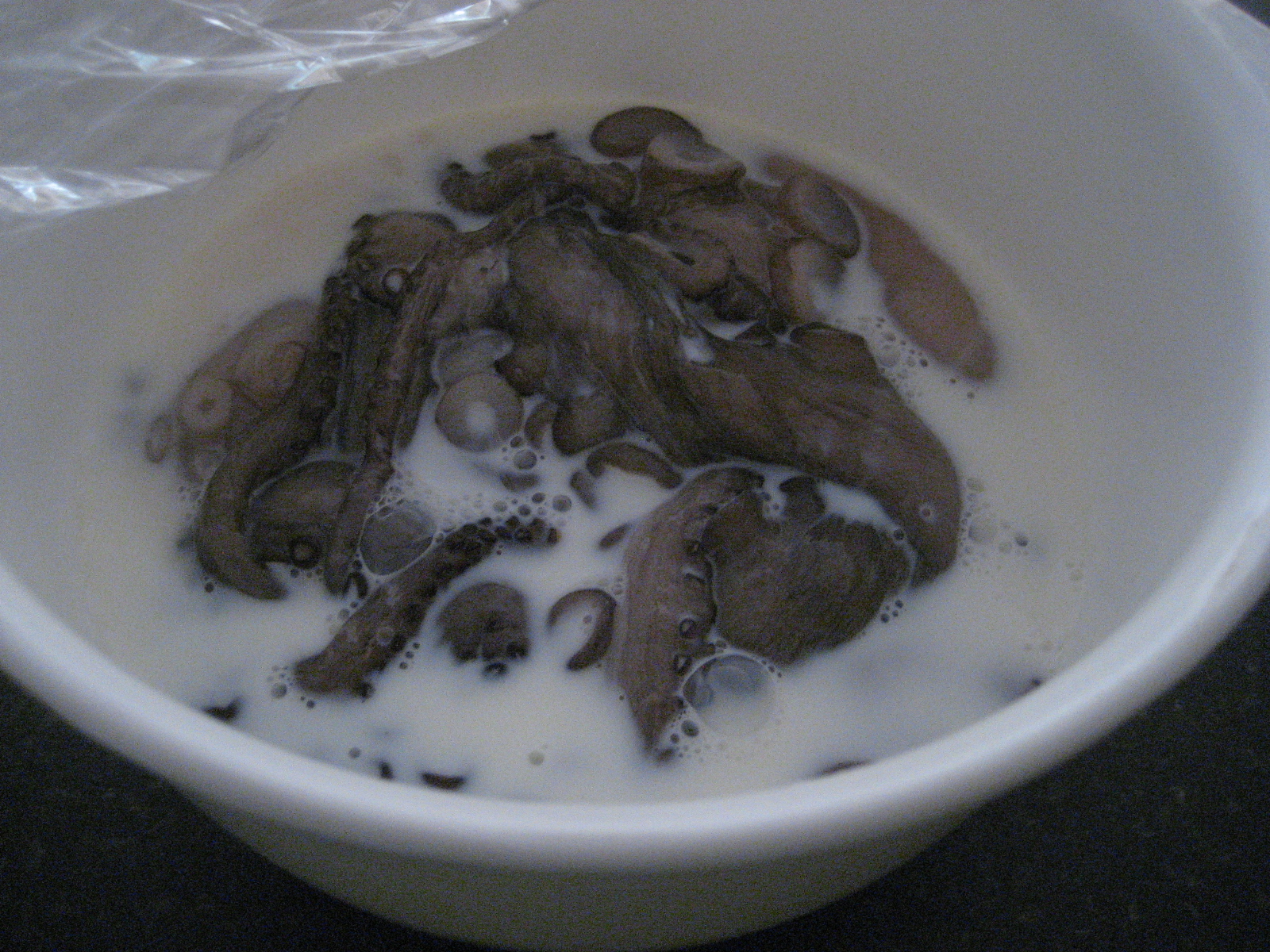 Learning about the world: Zanzibar - how I cooked Octopus!