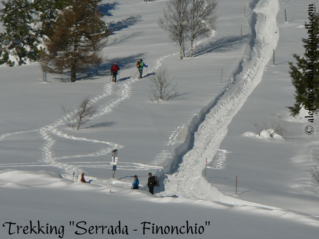 Trekking in Trentino: Serrada > Rifugio "Fratelli Filzi" (Finonchio)