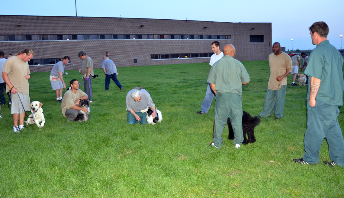 PRISON DOG PROGRAMS ~ BRIDGES and PATHWAYS of COURAGE: OSHKOSH ...
