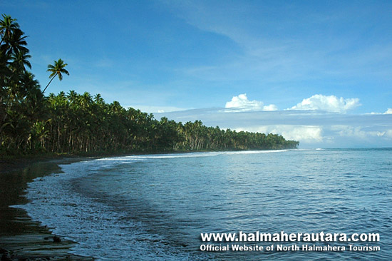 Tharaz Tours & Travel: Halmahera Utara