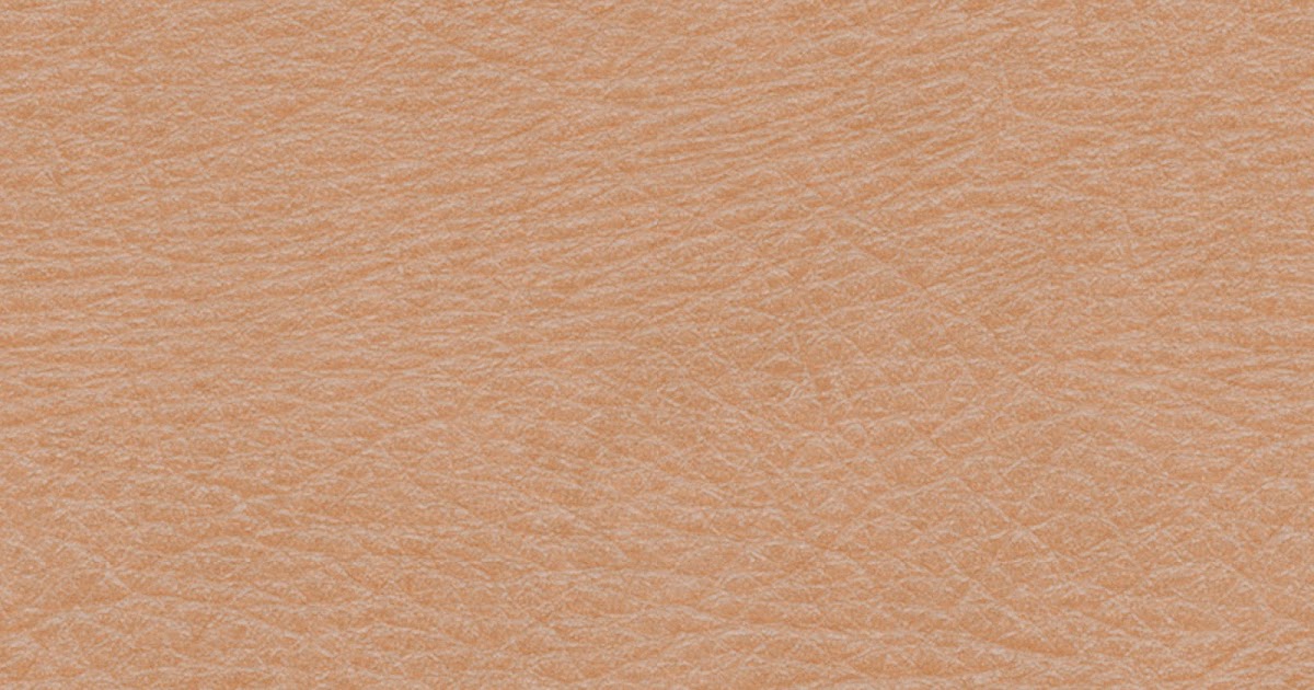 Human Skin Texture Map