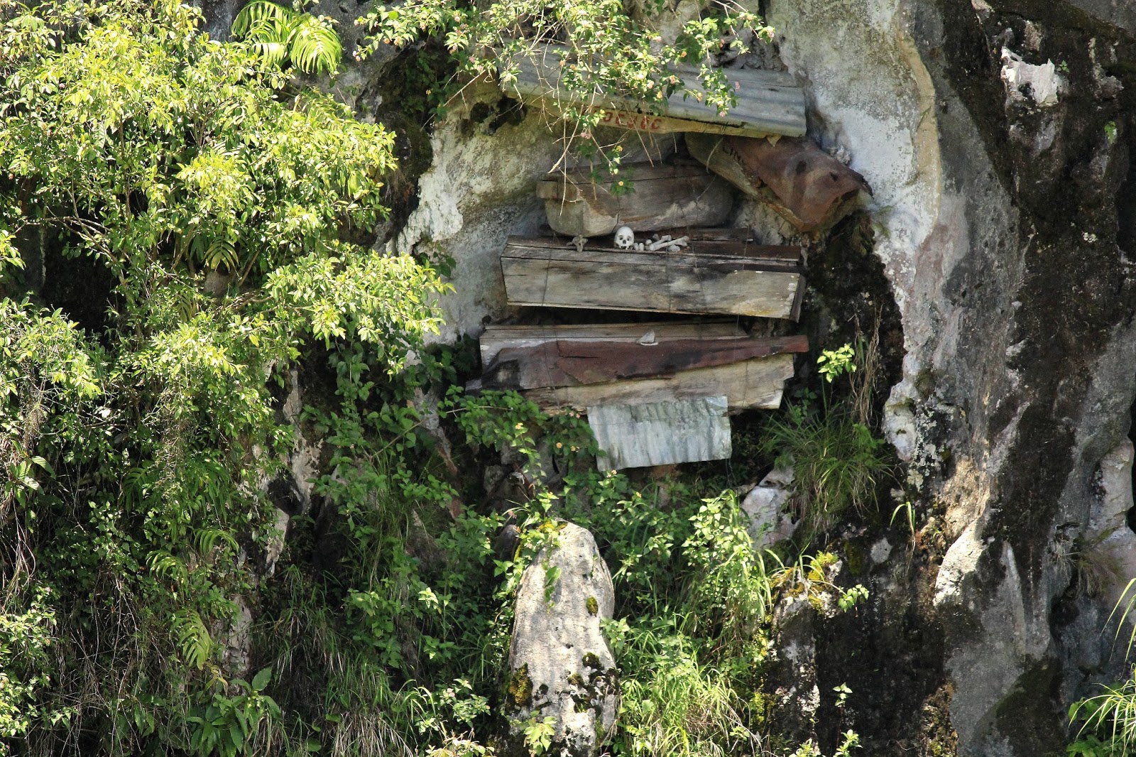 Travels, Musings and Whatnots: Hanging Coffins of Sagada