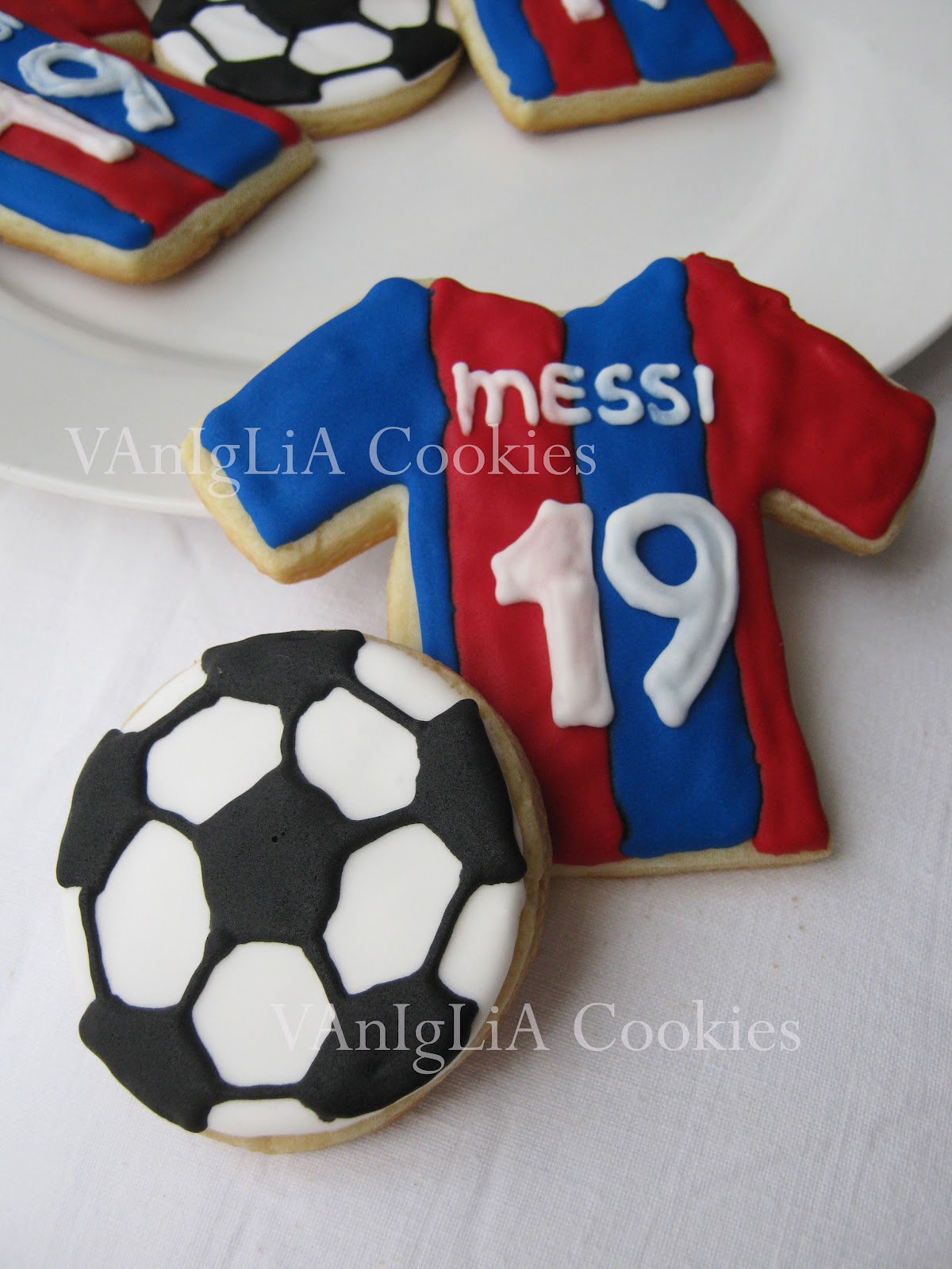 VAnIgLiA: Fanáticos de MESSI