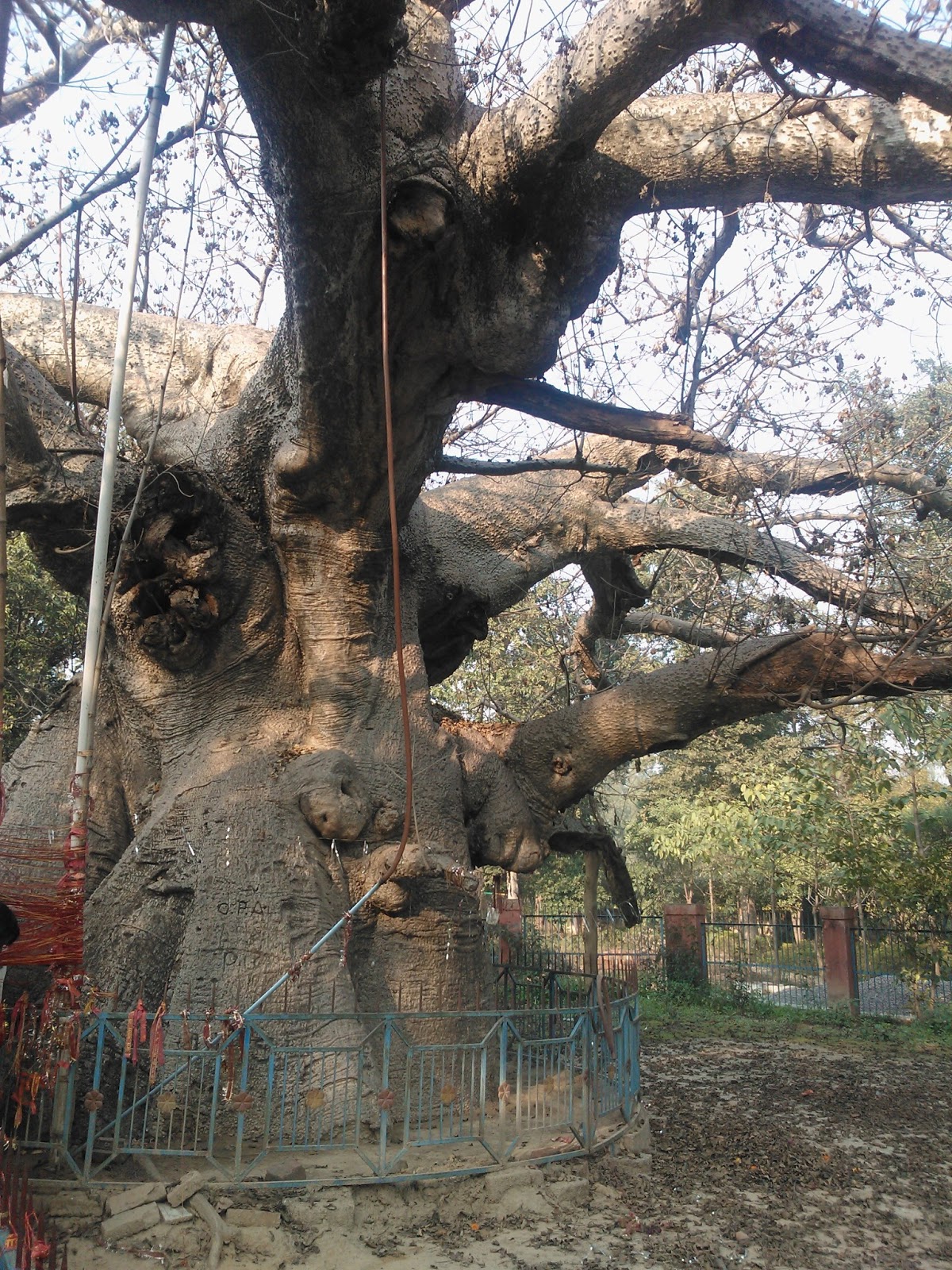 A Scribbler's Sanctuary: Paarijaat Parichay