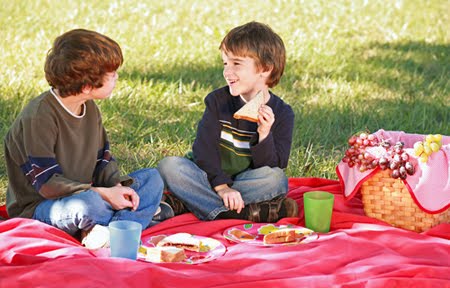 Que significa soñar con picnic | Significado de los Sueños