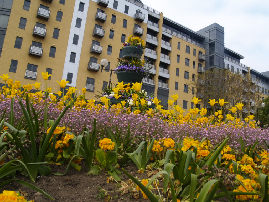 memori di bumi Eropah: aktiviti musim bunga...2011...di UK