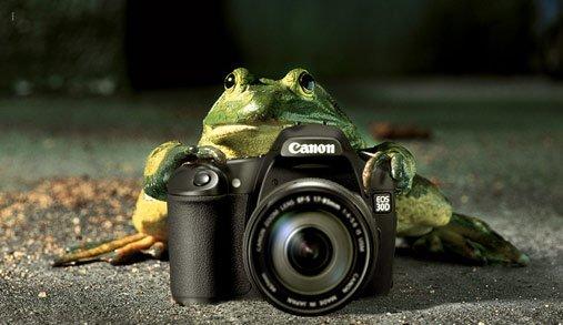 Photo Manipulation: 21 Animals -> Photoshop Part 5