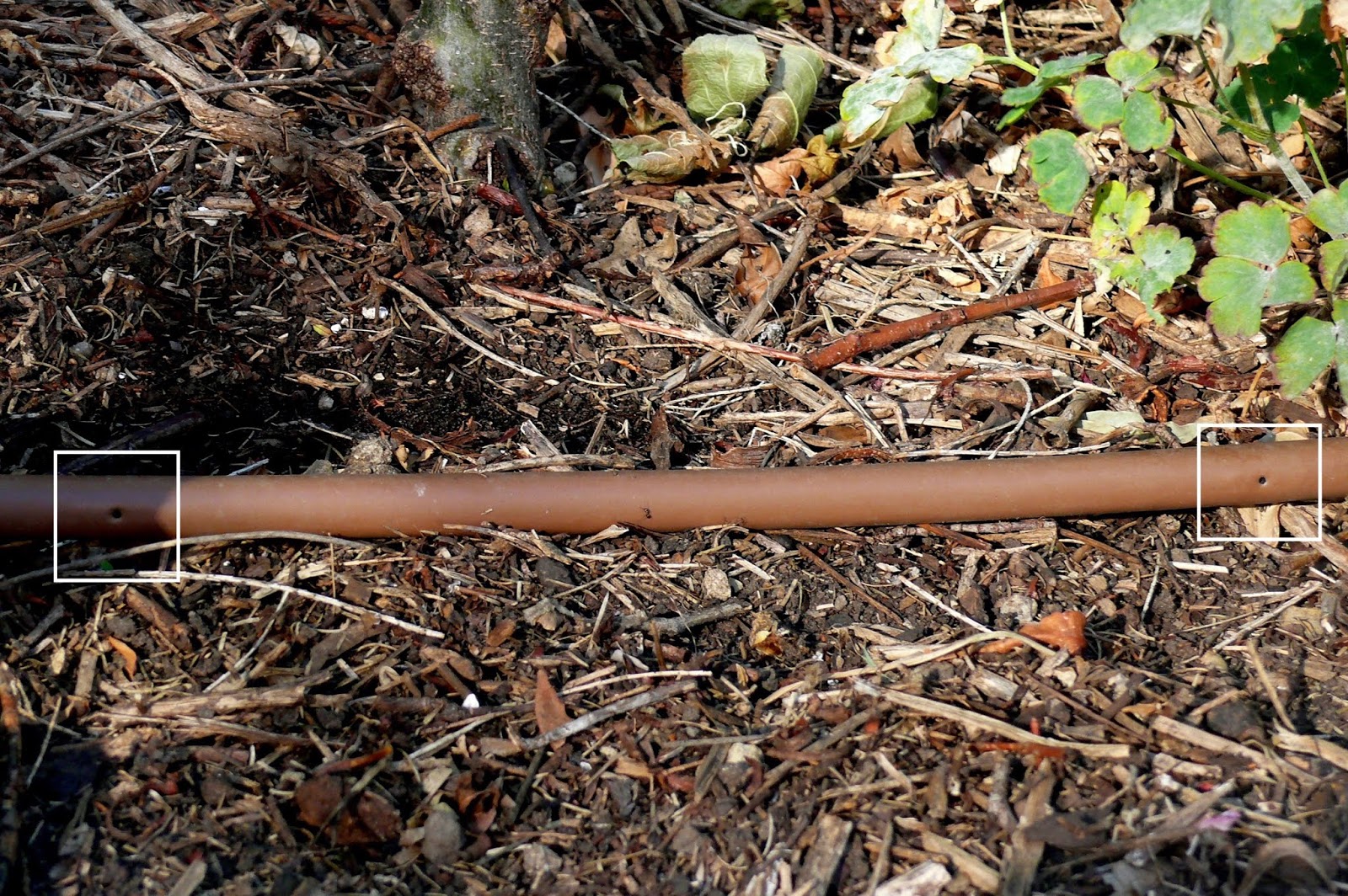 The Food Garden Group Blog: Improving your Irrigation