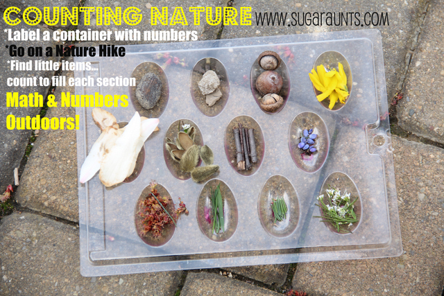 Counting Nature - The OT Toolbox