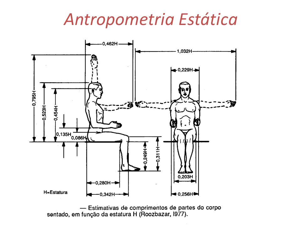LA ANTROPOMETRIA: LA ANTROPOMETRIA
