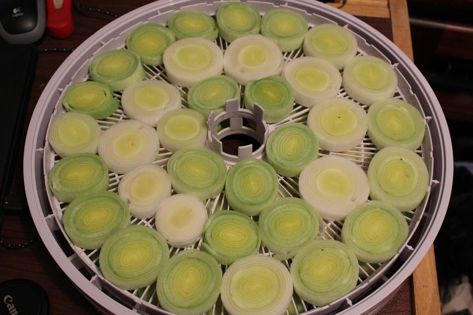 Drying Table For Vegetables Using A Dehydrator