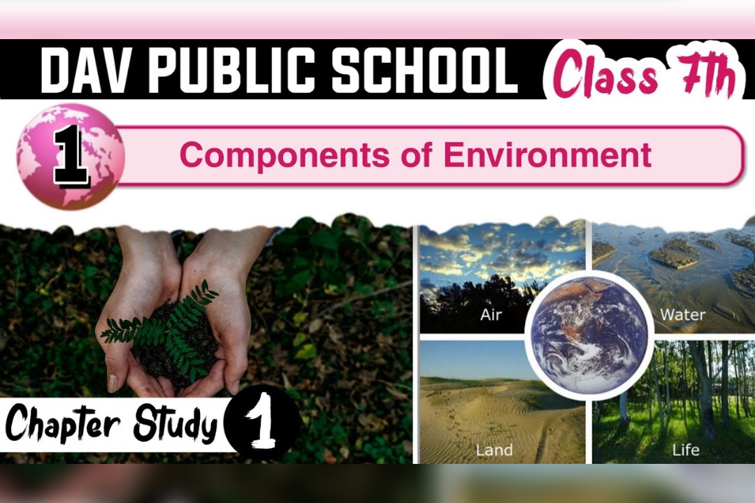 Components of Environment