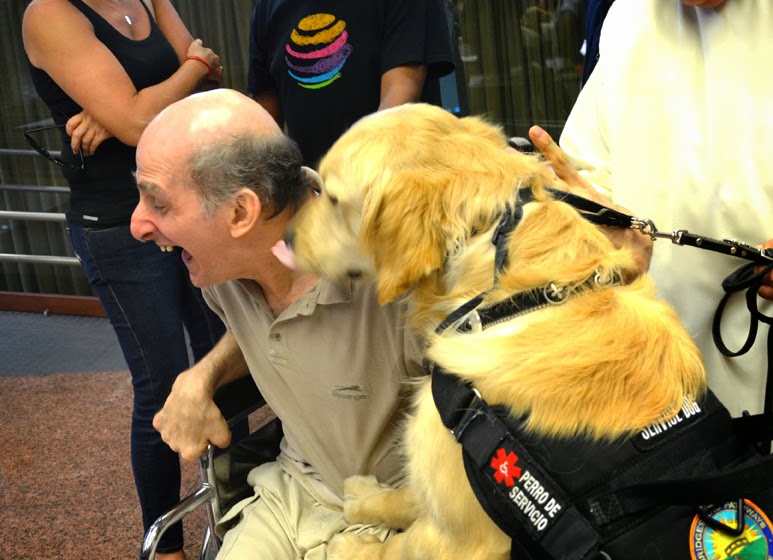 PRISON DOG PROGRAMS ~ BRIDGES and PATHWAYS of COURAGE