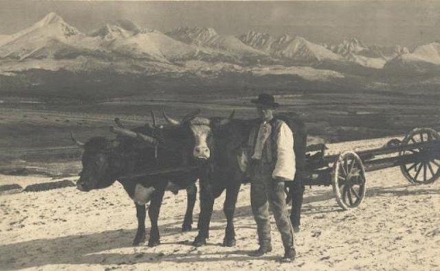 50 Rare and Amazing Vintage Photos That Capture Everyday Life in ...