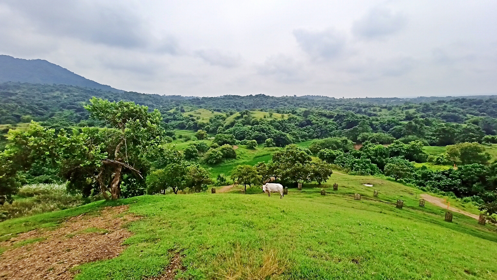Lakbay Norte Highpoints Must-See Places in Nueva Ecija - Nomadic ...