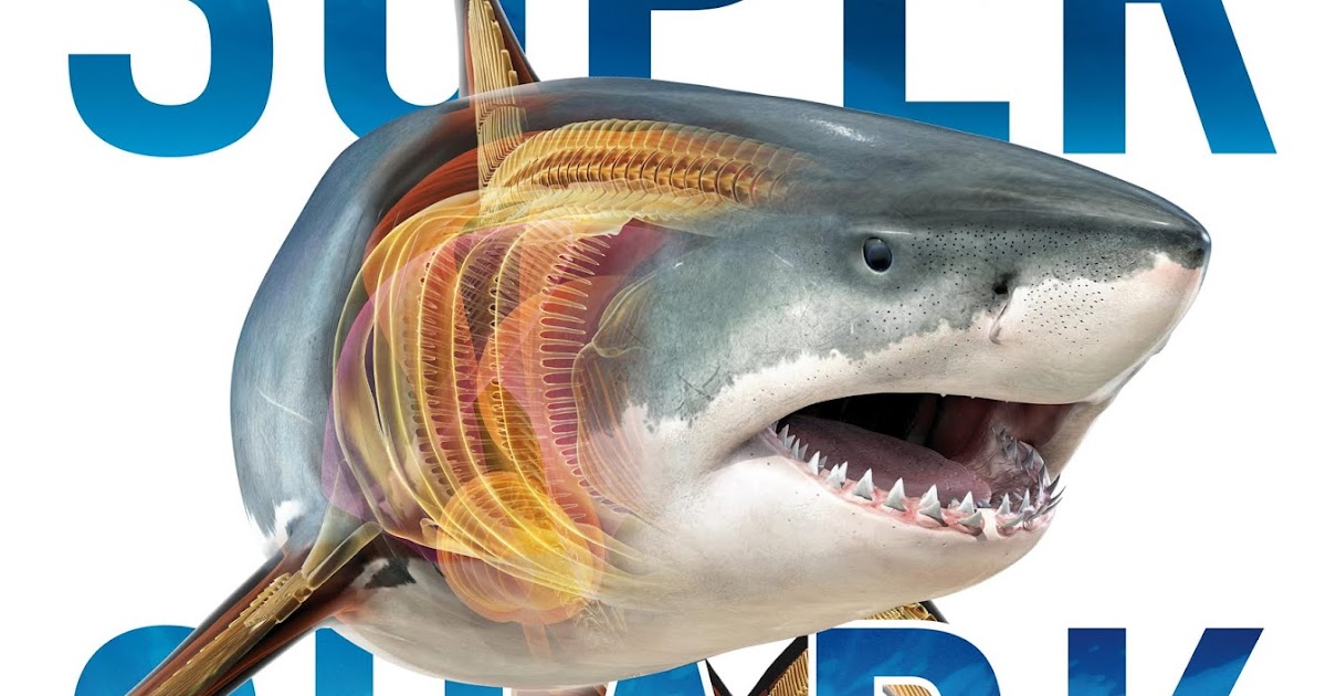 Read My eBooks & eMagazines for FREE!!!: Super Shark Encyclopedia: And ...