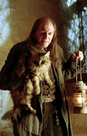 THE GRANDMA'S LOGBOOK ---: ARABELLA FIGG & ARGUS FLICH, HEALTH HAZARDS ...