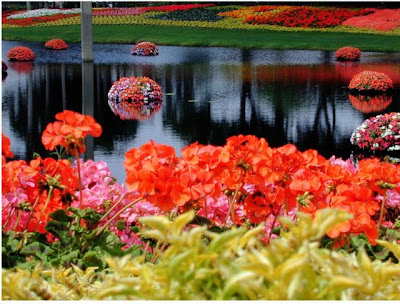 Beautiful Flower Gardens | Flowers heaven | Most Beautiful Flowers ...