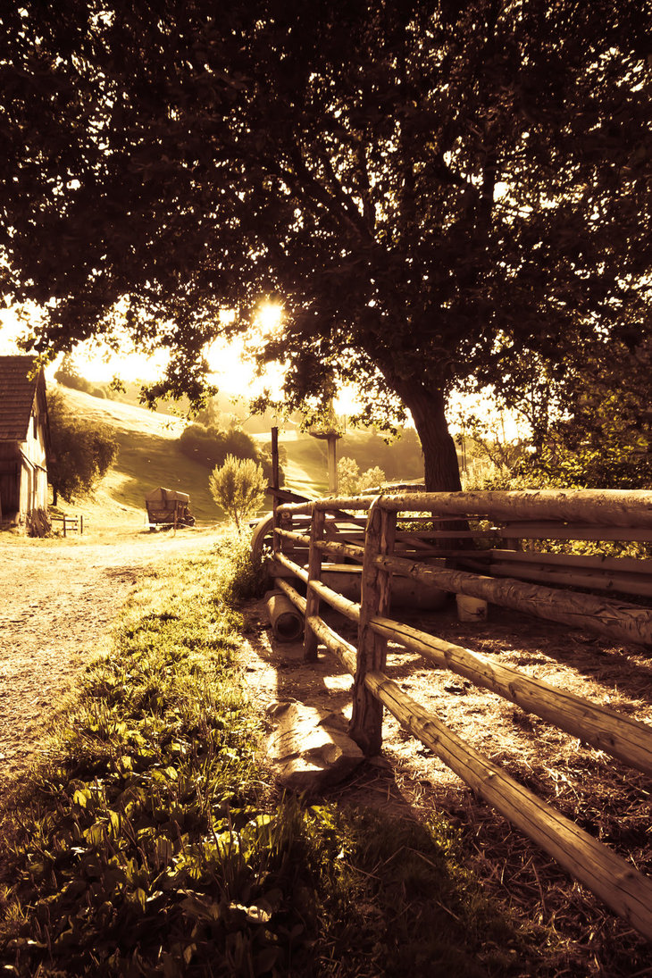 AnGeL-EliXiR: Oscuridad Inmortal - Cate Tiernan