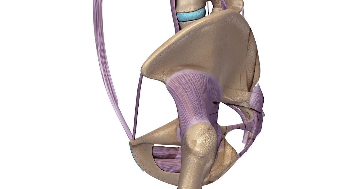 Learn More About Sacroiliac Joint Block