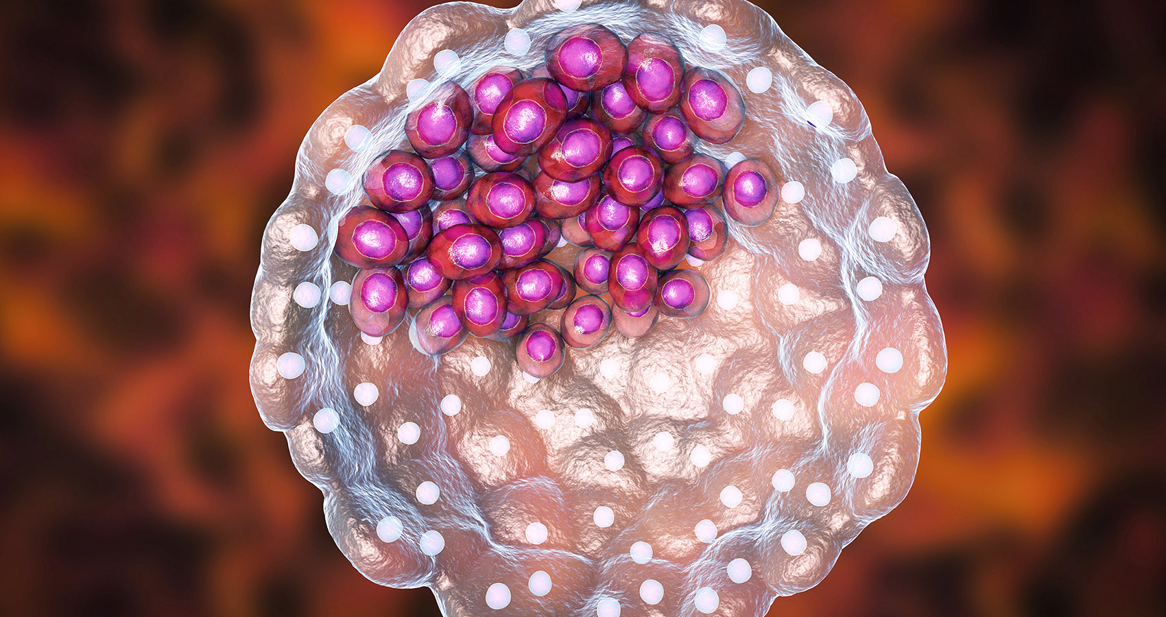 Primera semana de embarazo
