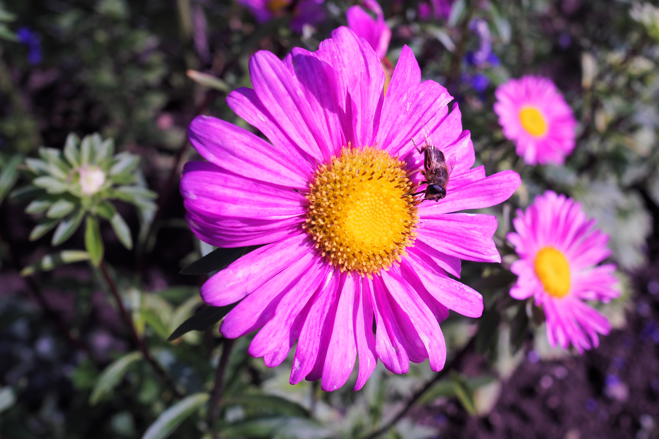 VideoPic Blog: How to use the Color Creator?