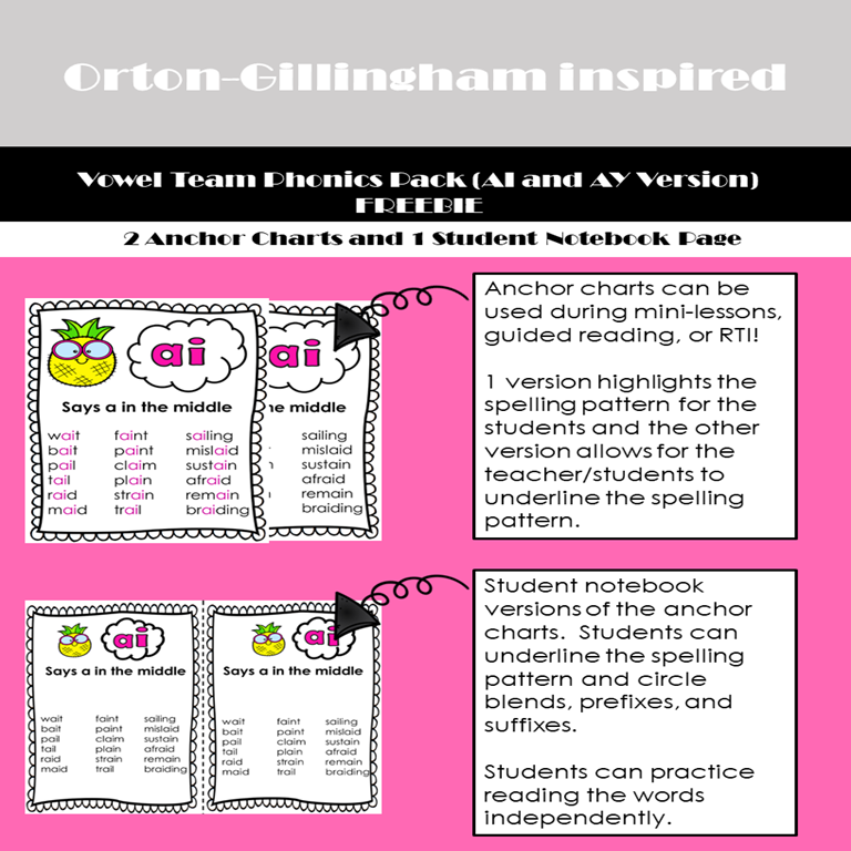 Total Teachaholic: Orton-Gillingham Inspired Resources