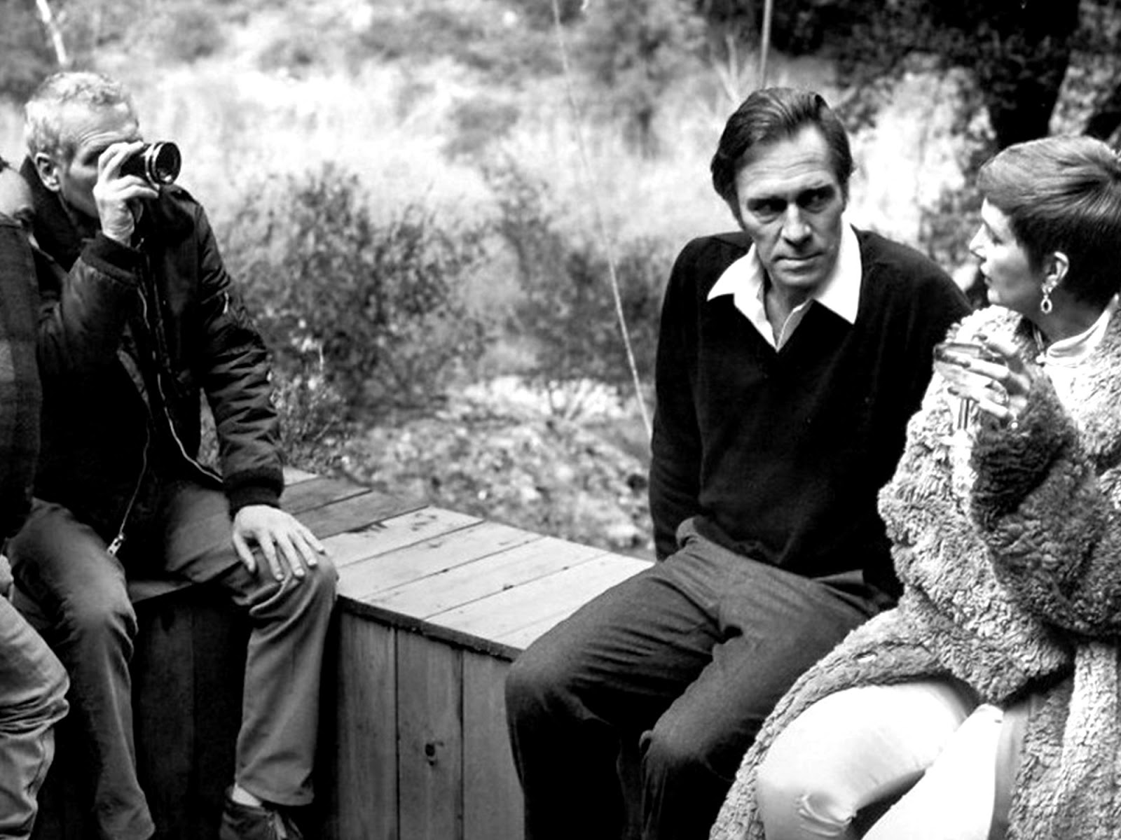 Os filmes espetaculares de Paul Newman como diretor | Caixa de Sucessos