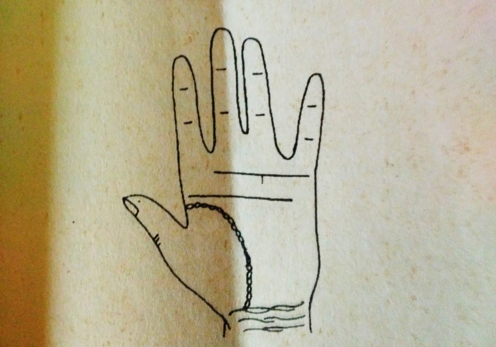 Different Types Of Life Line In Palmistry ~ INDIAN PALMISTRY | PALM ...