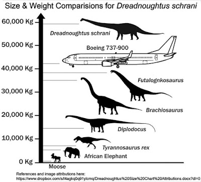 PALAEOBLOG: Downsizing Dreadnoughtus?