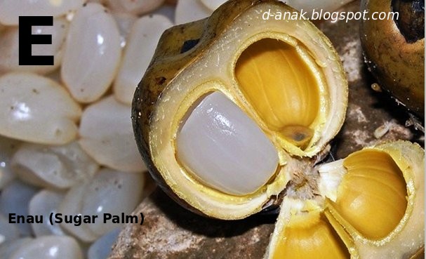 Belajar Membaca Untuk Anak - Mengenal Buah Enau - Dunia Anak